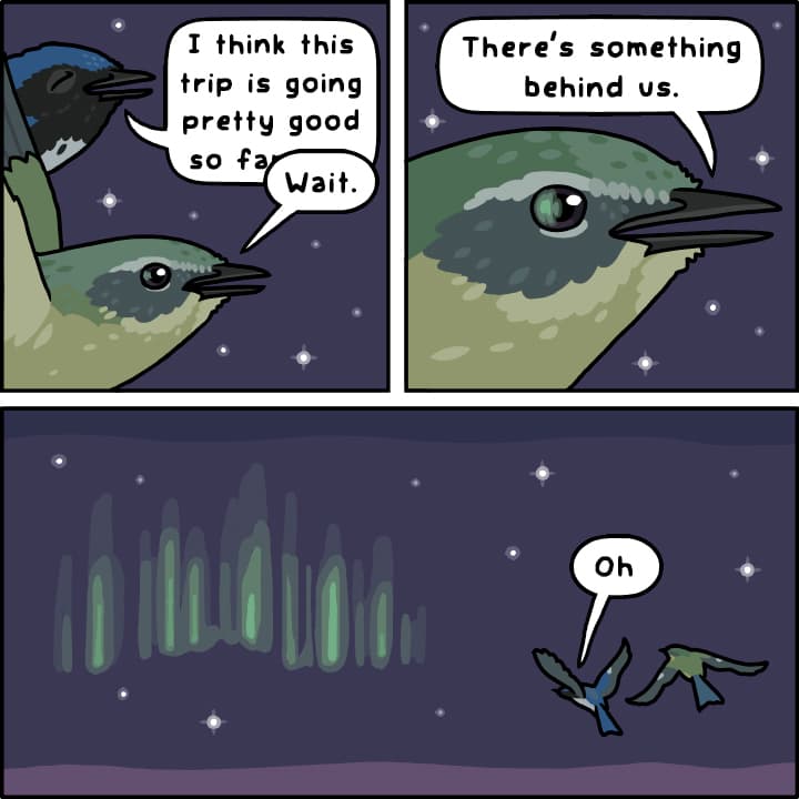 Northern Lights — Rosemary Mosco
