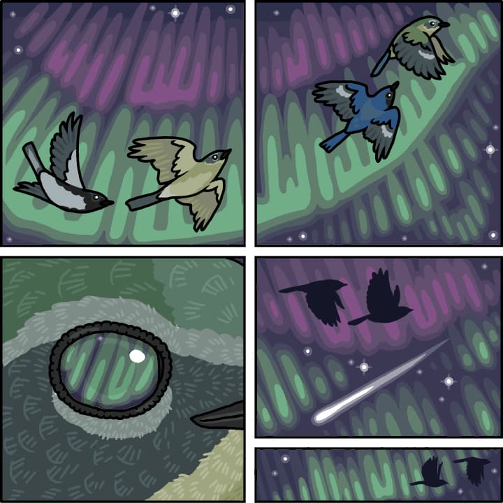 Northern Lights — Rosemary Mosco