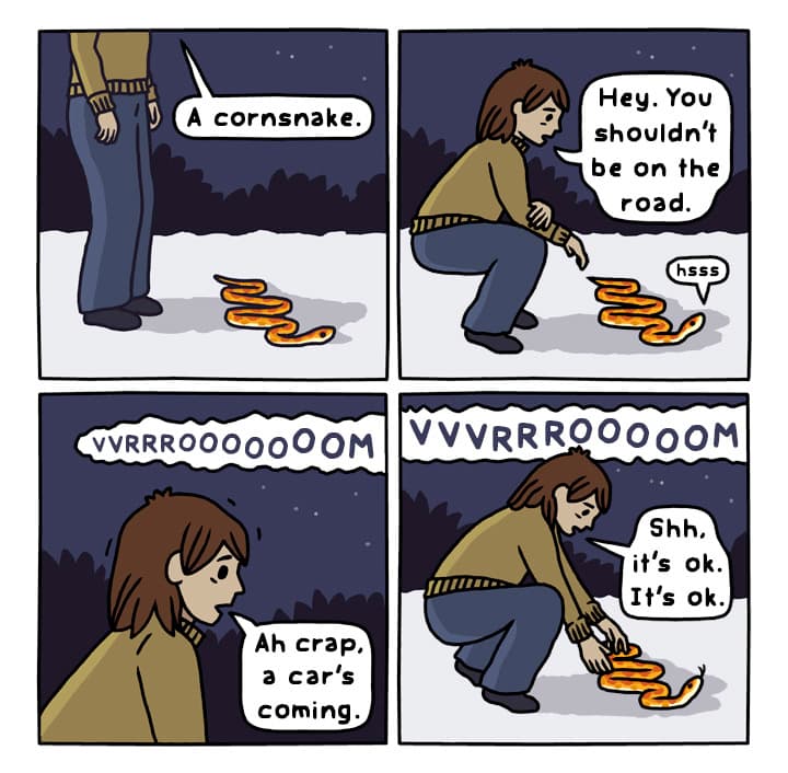 Snake Story — Rosemary Mosco