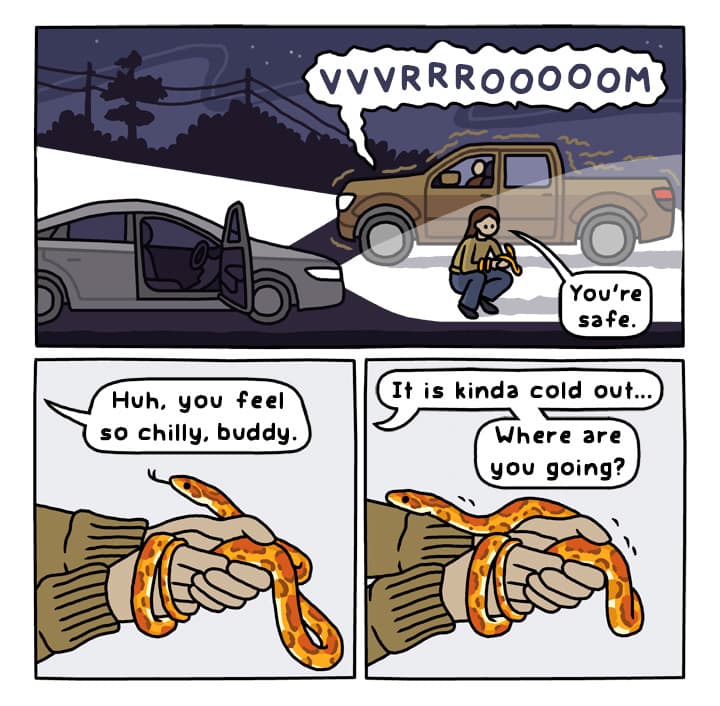 Snake Story — Rosemary Mosco